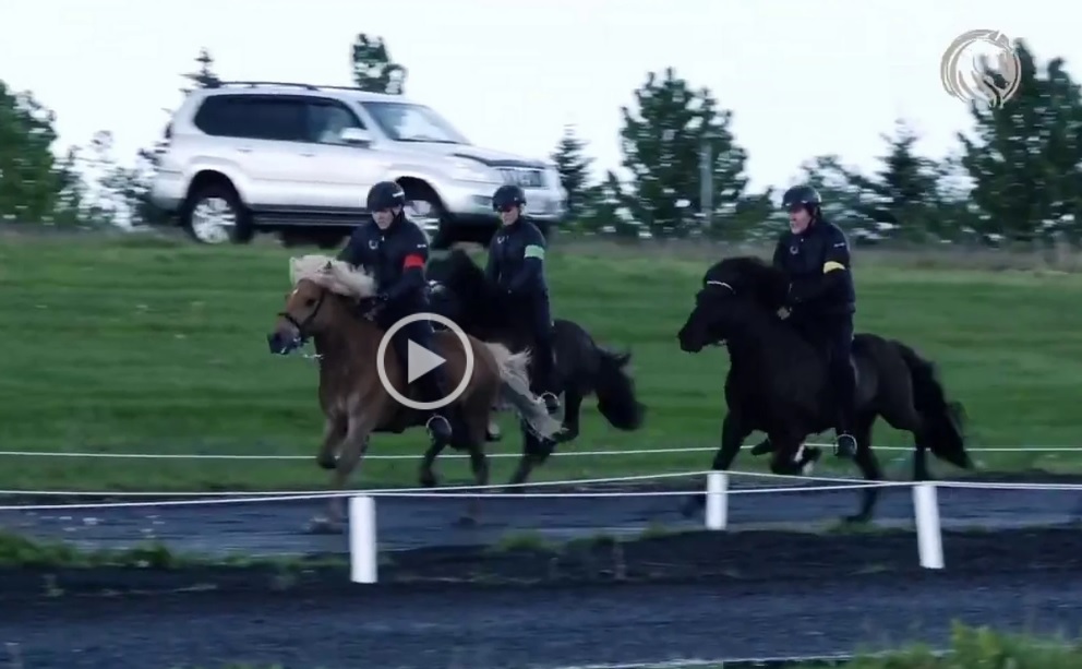 Video from the Pass Raci in Iceland 2020 - Hestafrettir.com